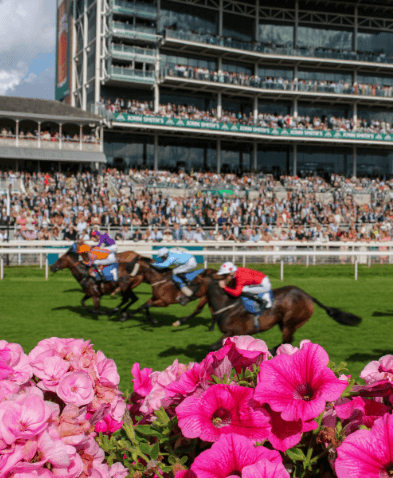 2021 Fixtures & Pricing | York Racecourse