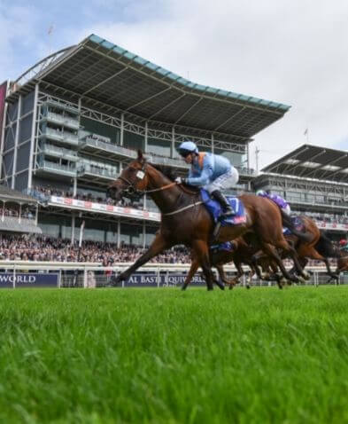2022 Fixtures & Pricing | York Racecourse