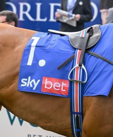 Fixtures Pricing York Racecourse Fixtures Pricing York Racecourse