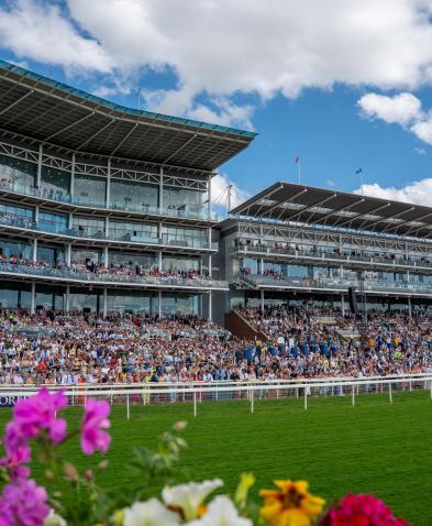 Season at a Glance | York Racecourse
