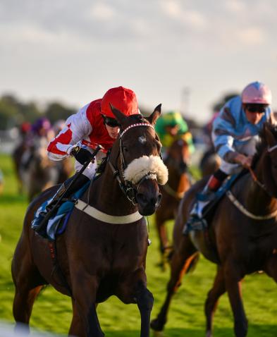 Fixtures Pricing York Racecourse fixtures-pricing-york-racecourse