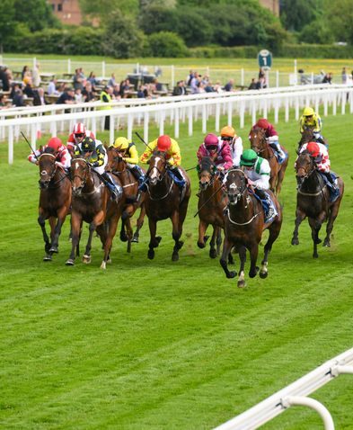 2023 Fixtures & Pricing | York Racecourse
