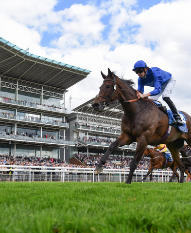 2023 Fixtures & Pricing | York Racecourse