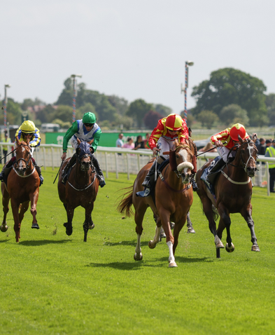 2023 Fixtures & Pricing | York Racecourse