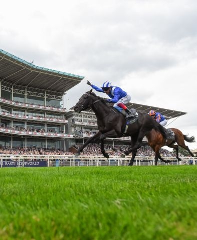 2023 Fixtures & Pricing | York Racecourse