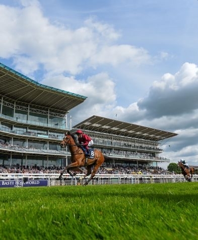 2024 Fixtures & Pricing | York Racecourse