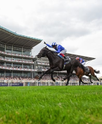 2024 Fixtures & Pricing | York Racecourse