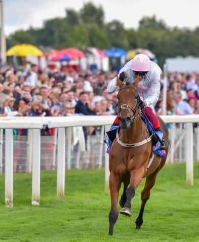 2024 Fixtures & Pricing | York Racecourse