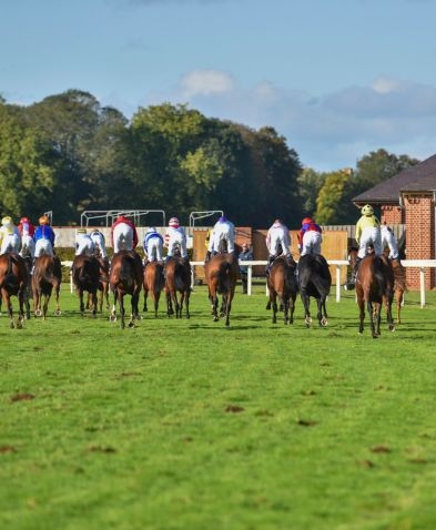 2024 Fixtures & Pricing | York Racecourse