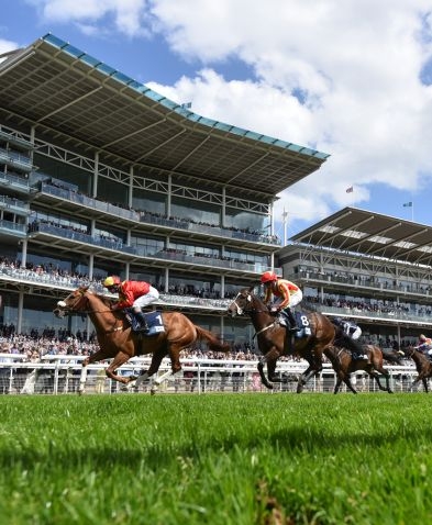 2024 Fixtures & Pricing | York Racecourse