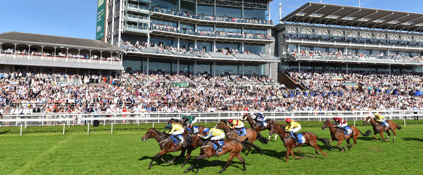 Annual Badgeholders | York Racecourse