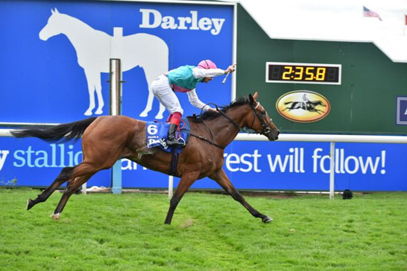 Impressive entries for the feature races at the Welcome to Yorkshire ...