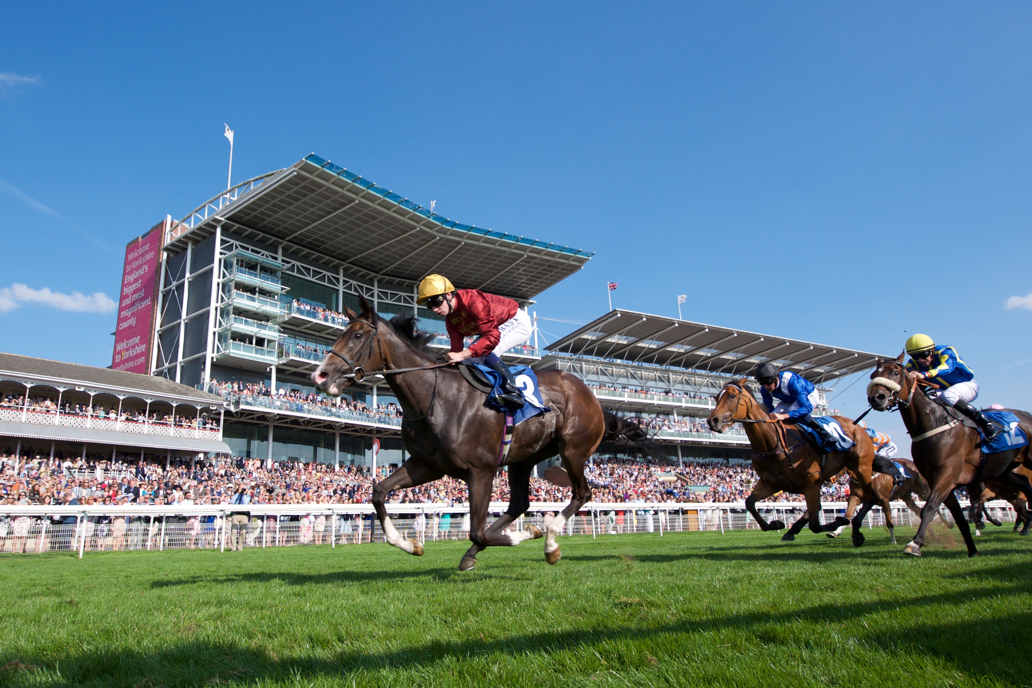YORK RACECOURSE VOTED BEST TRACK IN BRITAIN | York Racecourse