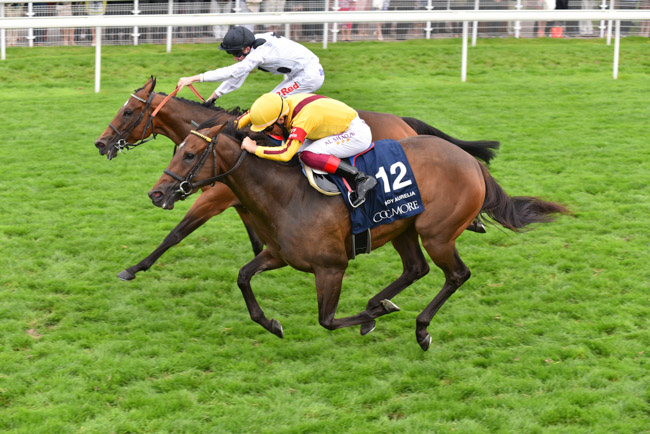 York Race Ranked as Best Sprint in the World | York Racecourse